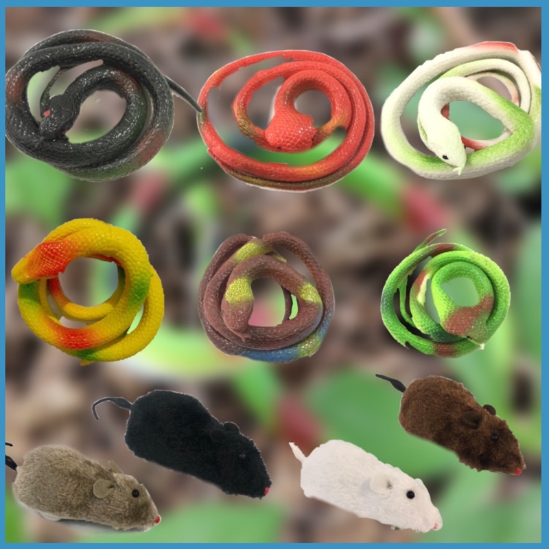 Stok Sedia Ada ~ Rubber Fake Snake 60+cm & Fake Mouse Lifelike Real ...