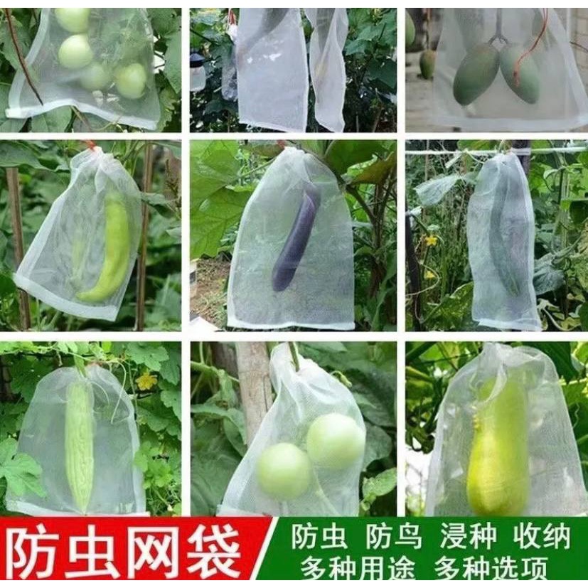 Fruit Vegetable Net Bag Jaring Pokok Nylon Net For Pest Control Garden ...