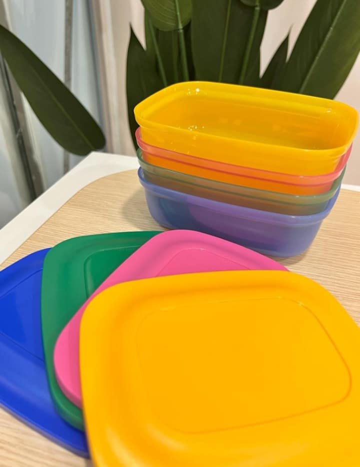 10 warna: Tupperware 500ml Small Rectangular Saver Lunch Box for Kid ...