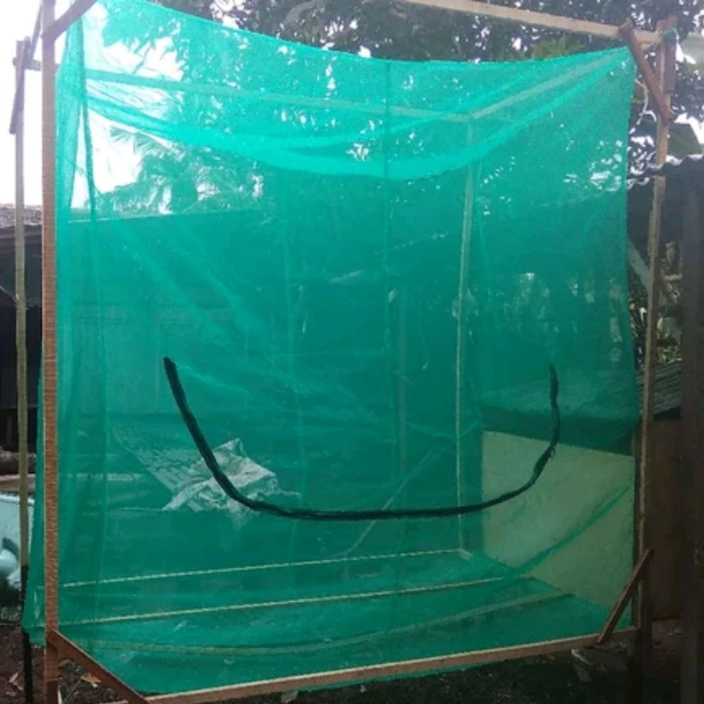 Bsf Fly Cage 4x1 x 2 Meters - Maggot bsf bsf bsf Fly Cage | Shopee Malaysia
