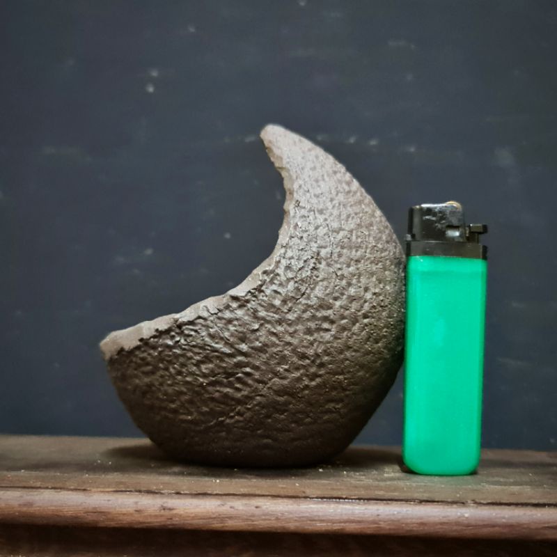 bonsai pot half moon 盆景盆半月型 pasu bonsai halfmoon | Shopee Malaysia