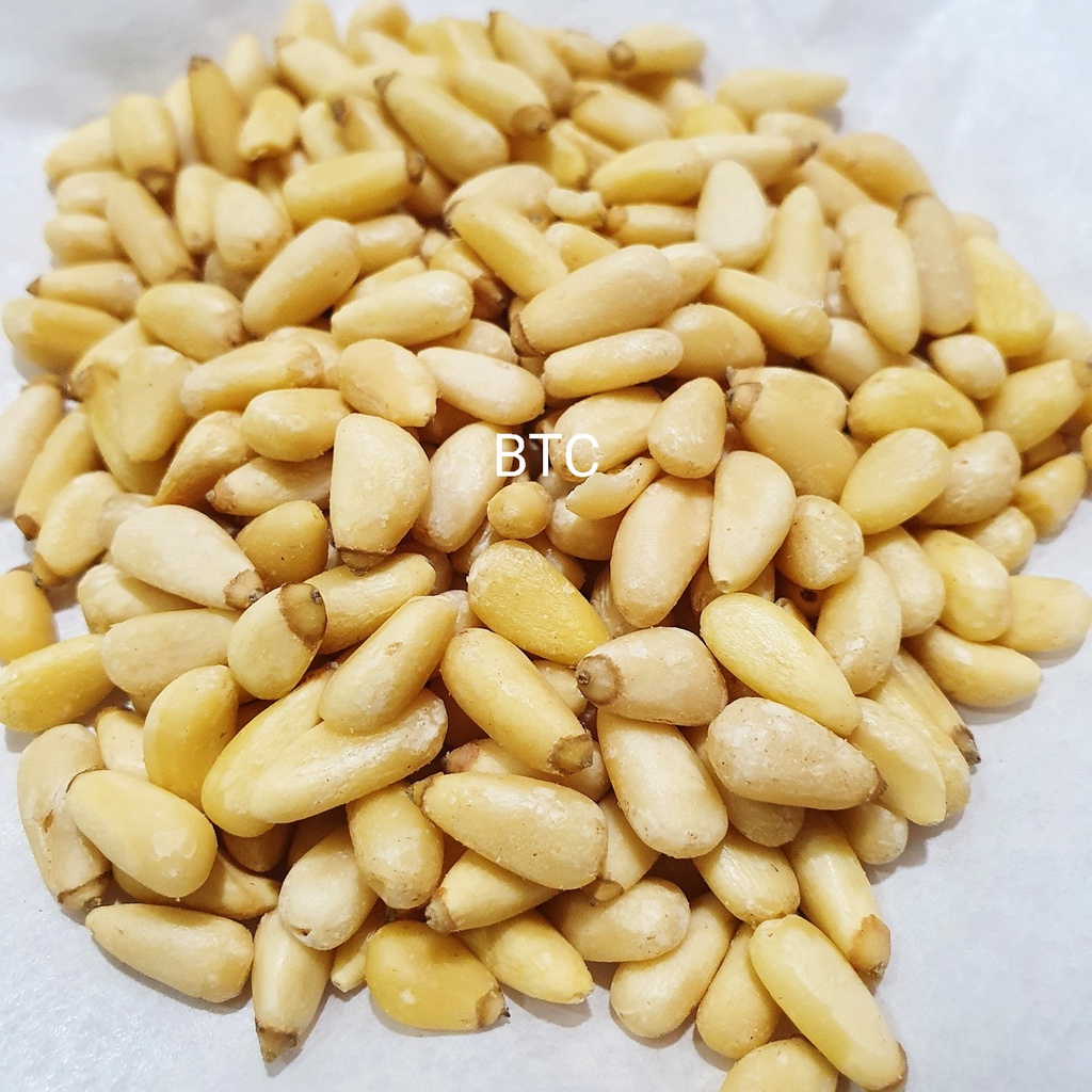 Premium Pine Nut Kernel | Shopee Malaysia
