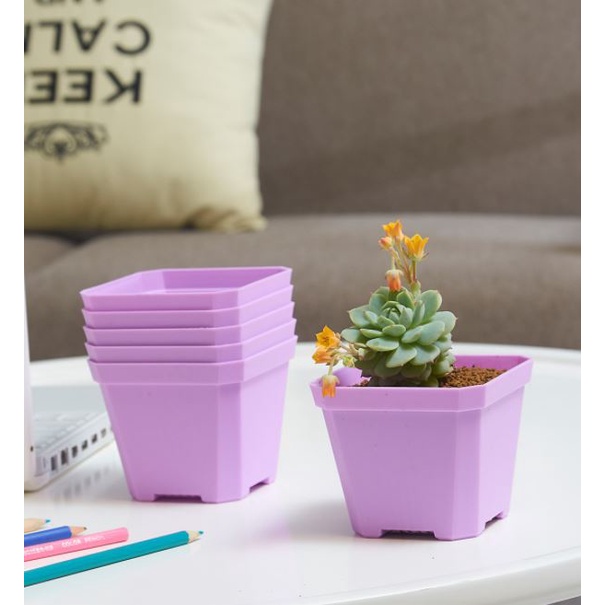 COLORFUL COLOR SUCCULENT CACTUS SQUARE PLASTIC POT PASU MINI PLASTIK ...
