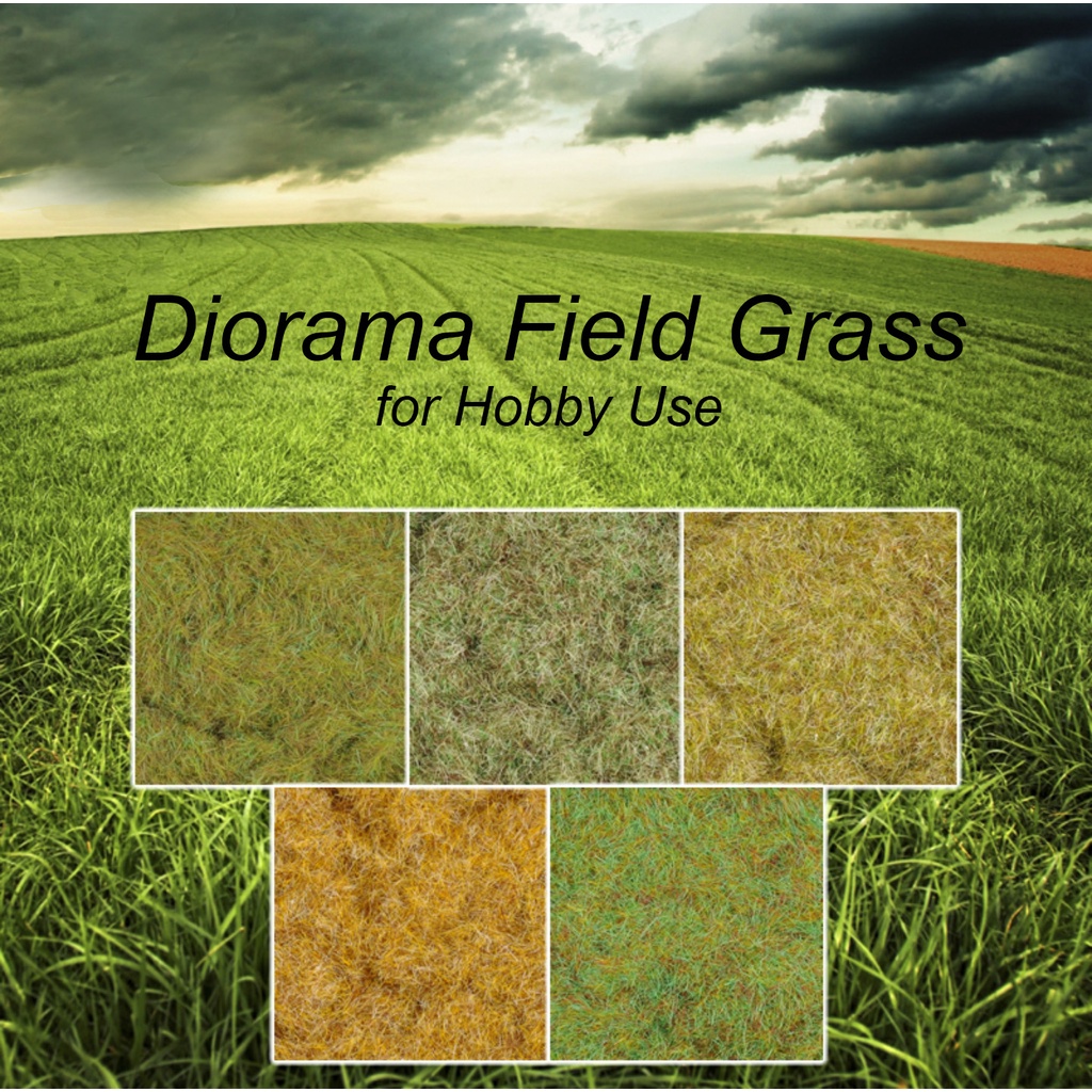 Diorama 3mm Field Grass Powder Flock for Hobby use 30g | Shopee Malaysia