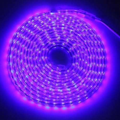 AC 220V 1000LM 5M 300 LEDS STRIP LIGHT WATERPROOF LAMP (BLUE) | Shopee ...