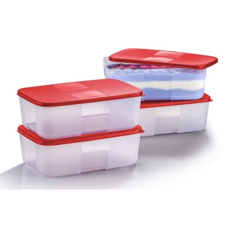 TUPPERWARE FREEZERMATE FROZEN FOOD KEEPER | Shopee Malaysia