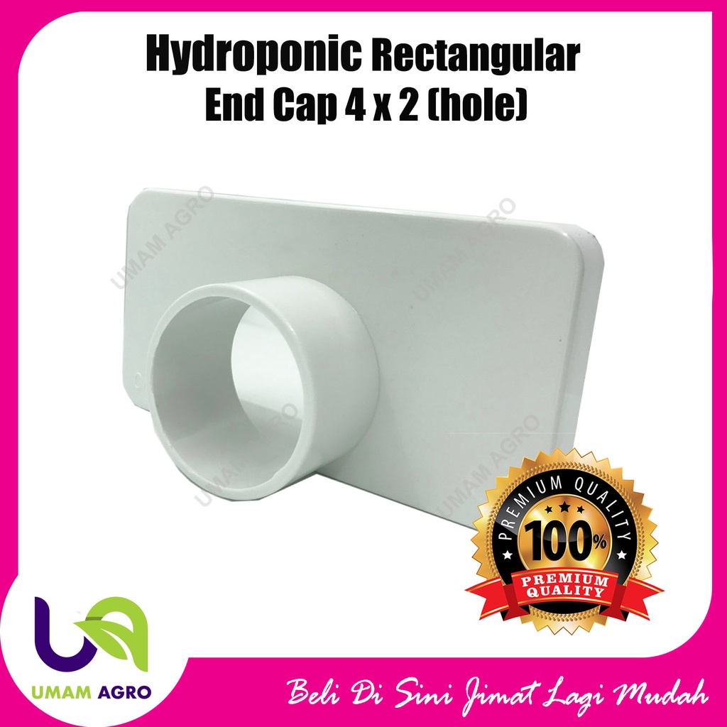 Hydroponic Rectangular End Cap 2 x 4 with HOLE - 1PCS (Hidroponik ...