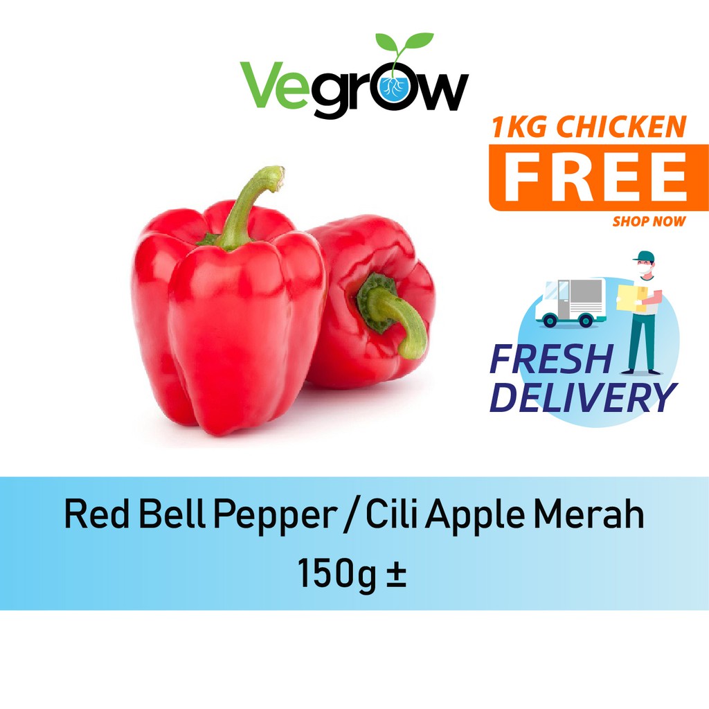 🔥FRESH 🔥Red Bell Pepper / Cili Apple Merah 150g +- | Shopee Malaysia