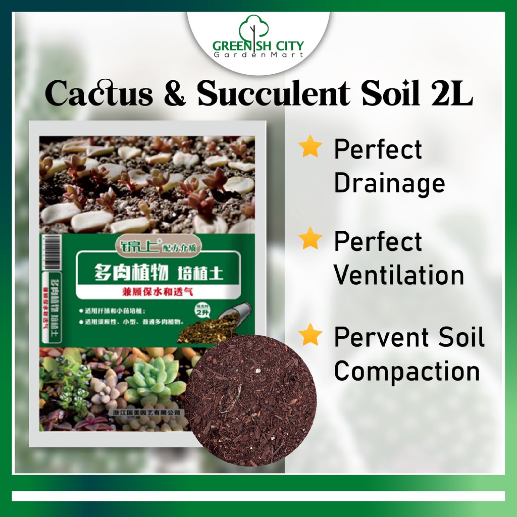 GNC- Soil Compost Succulent Cactus Soil Baja Kaktus Tanah Cacti Stone ...