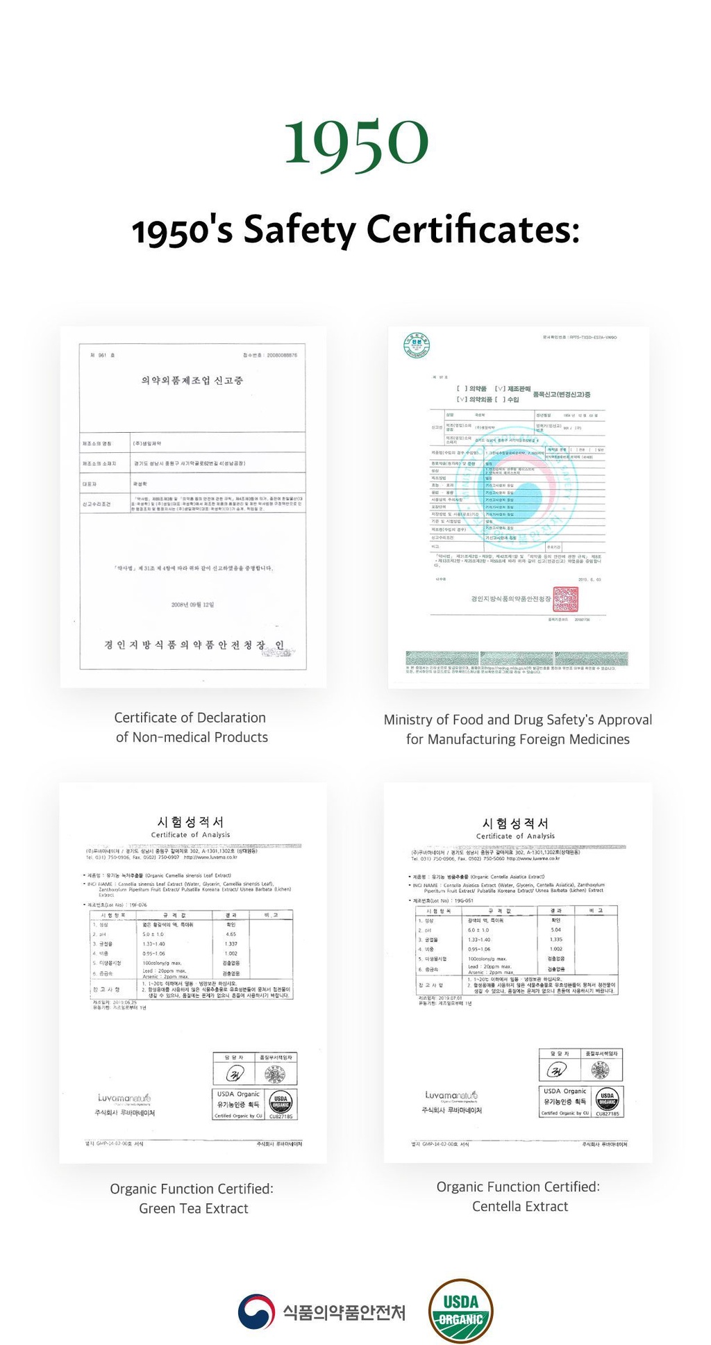 1950 JEJU Toothpaste - Mineral Salt Blue (100g) | Shopee Malaysia