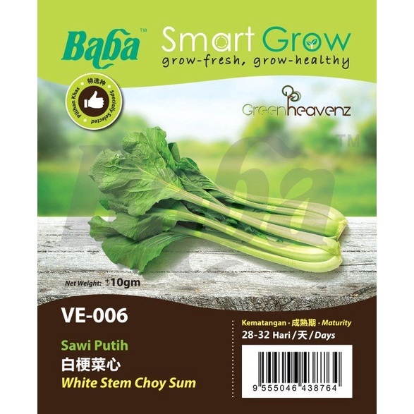 Baba Smart Grow Seeds VE-006 Hong KongBig Stem Choy Sum (Sawi Bunga ...
