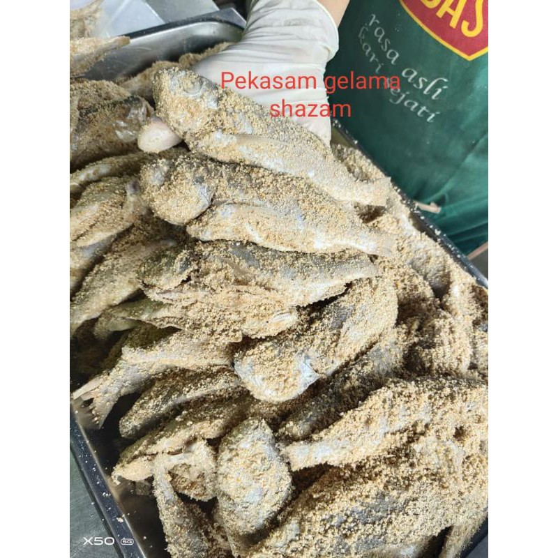 💥Pekasam Ikan Gelama Shazam Viral Sedap Lazat Fresh 380+-g | Shopee ...