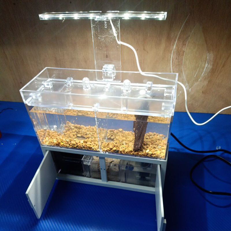 Aquarium mini 26cm x 23cm x 10cm nano desktop aquarium complete set ...