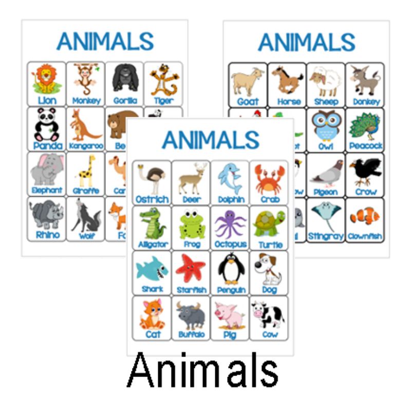 Laminated Animals Learning Chart for Kids | Size A4 | | Shopee Malaysia