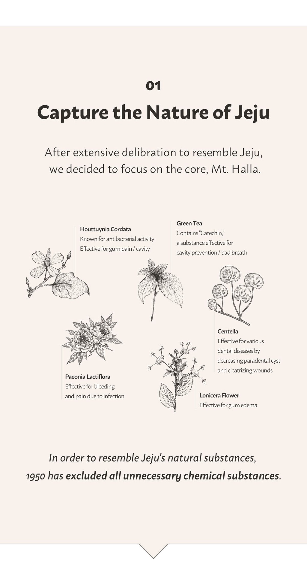 1950 JEJU Toothpaste - Mineral Salt Blue (100g) | Shopee Malaysia