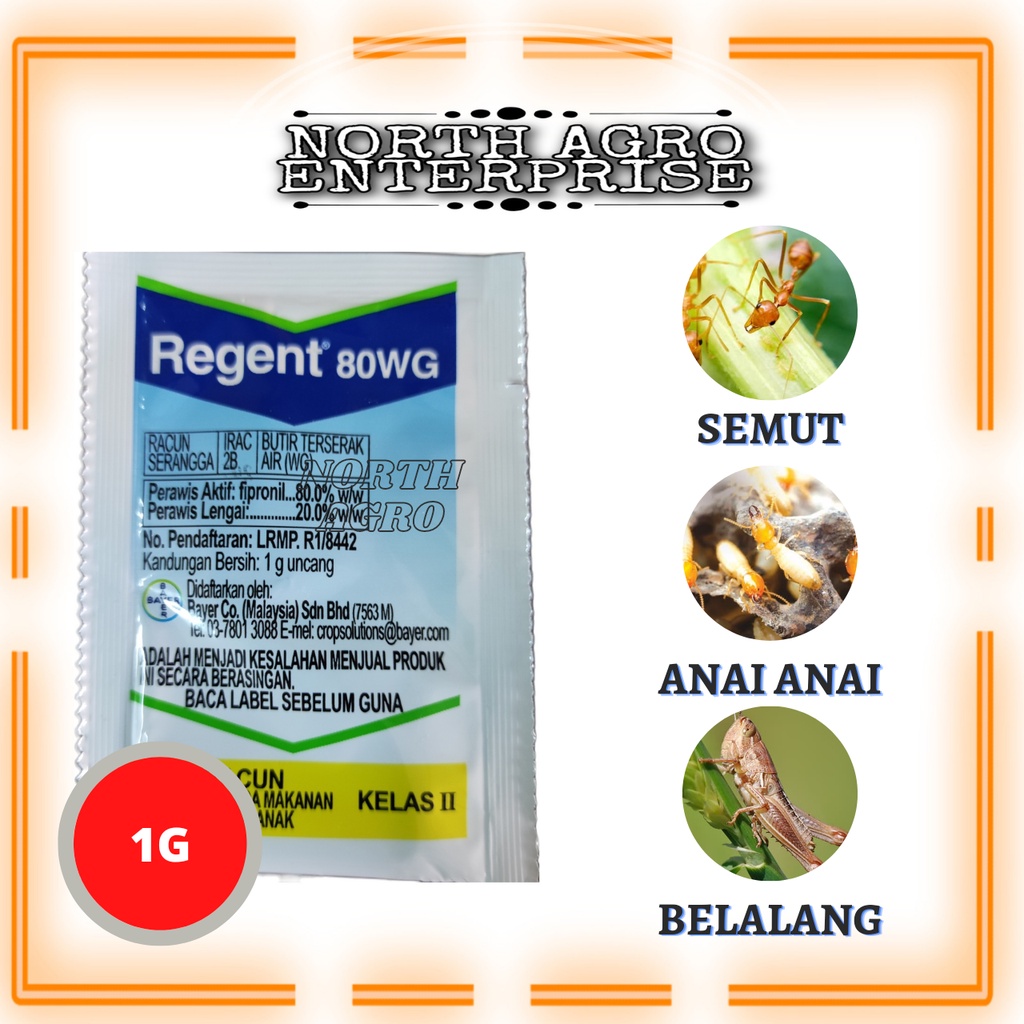 Regent 80wg Racun Anai Anai sesuai untuk mengawal anai-anai, semut ...
