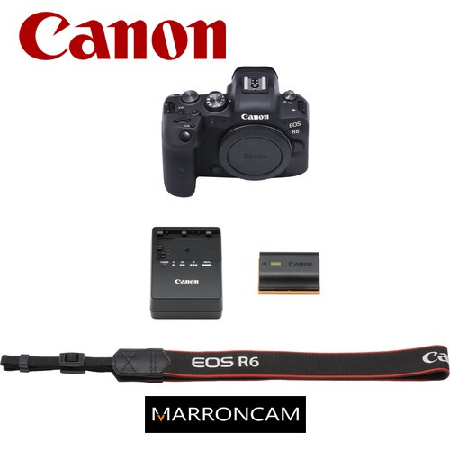 Canon EOS R6 Mirrorless Digital Camera (Body Only) | Shopee Malaysia