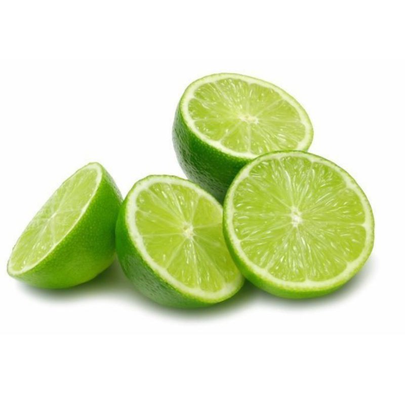Pokok Buah Keratan Lemon australia lime keffir limau nipis seedless ...
