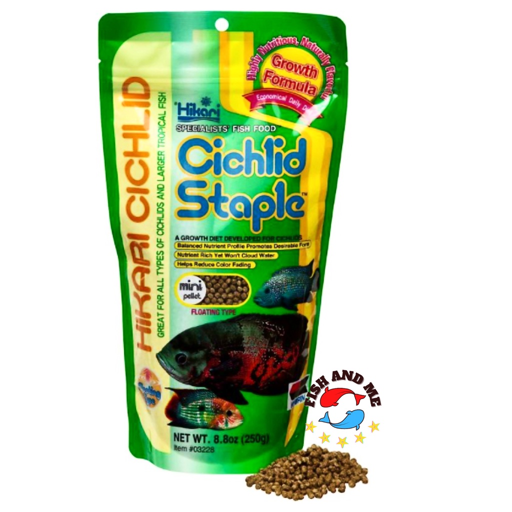 Hikari Food Cichlid Staple for Larger Tropical Fish Mini/Medium Pellet ...