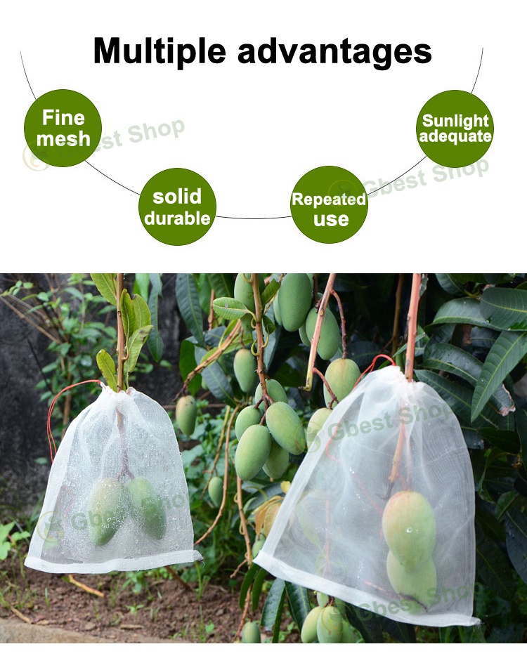 Insect Net Fruit Wrapping Protection Bag Cover Mesh Pouch Nylon Garden ...