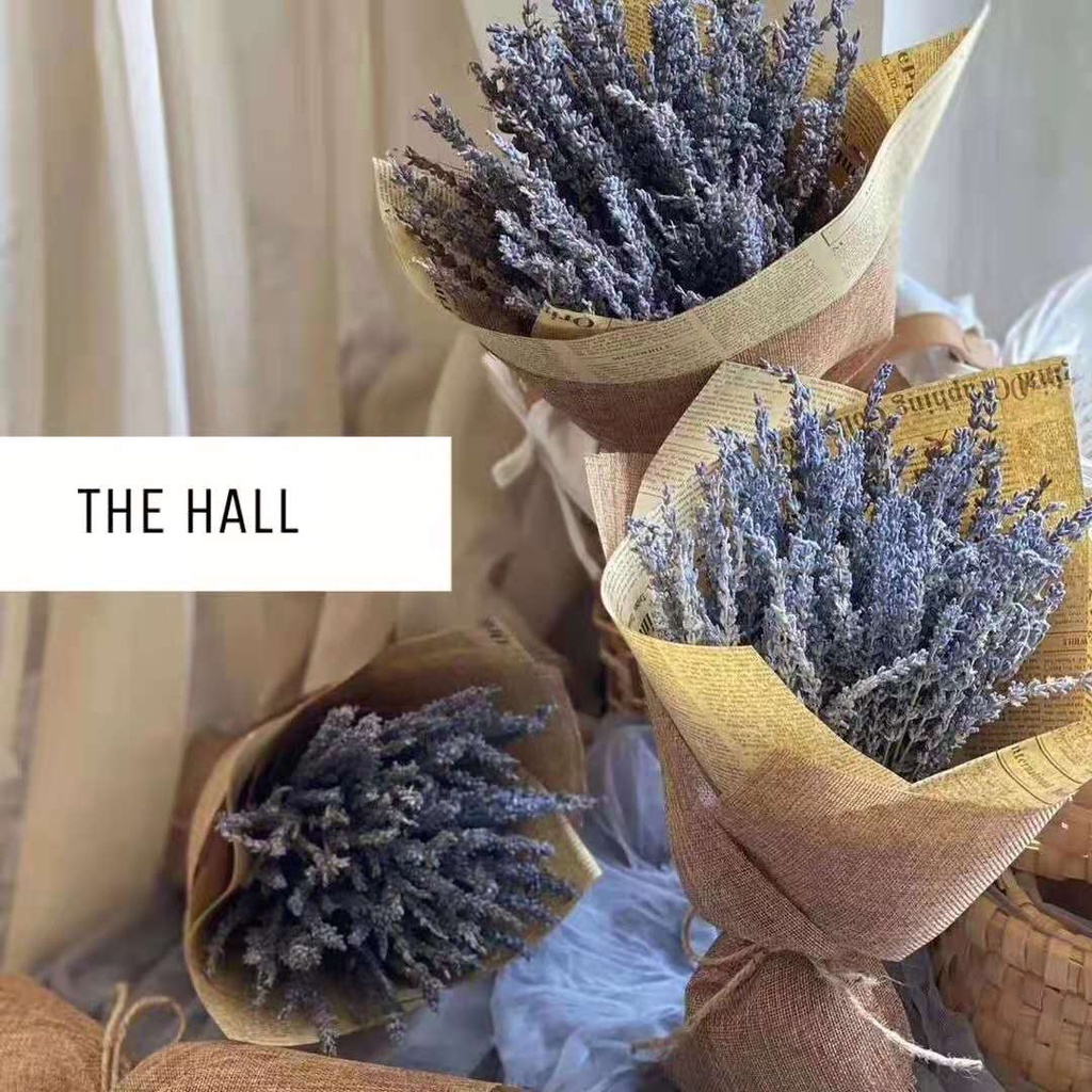 100gram Lavender Dried flower/Lavender/Bunga kering/bunga lavender ...