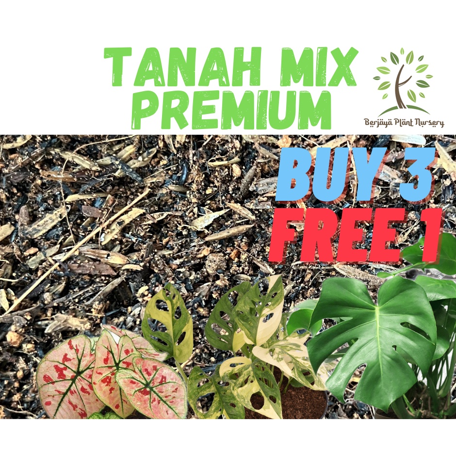 BUY 3 FREE 1!!! PREMIUM HIGH QUALITY Potting Mix Soil 3KG(Tanah Campur ...