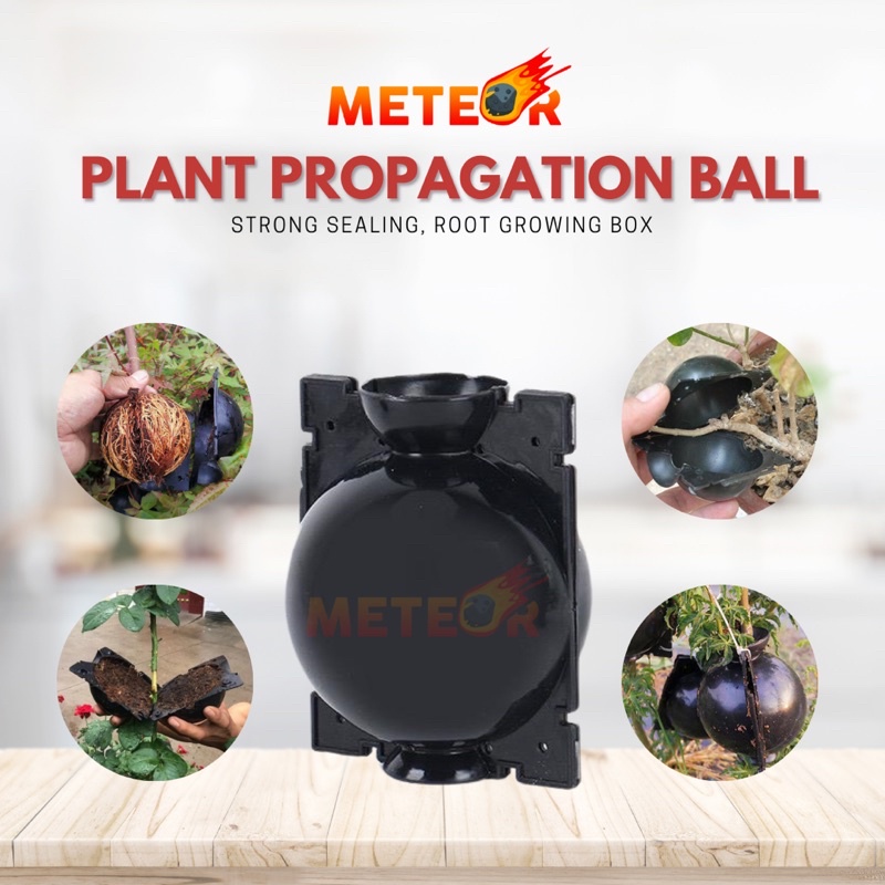 Air Layering Plant Propagation Ball Plant Rooting Ball / Bekas Acuan ...