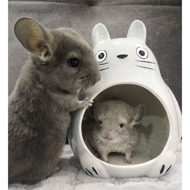 totoro ceramic resting cave, chinchilla cave,small pets cave,hamster ...