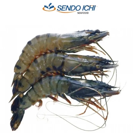 Sendo Ichi - Frozen Tiger Prawn 老虎虾 16-20Pcs (1KG) | Shopee Malaysia