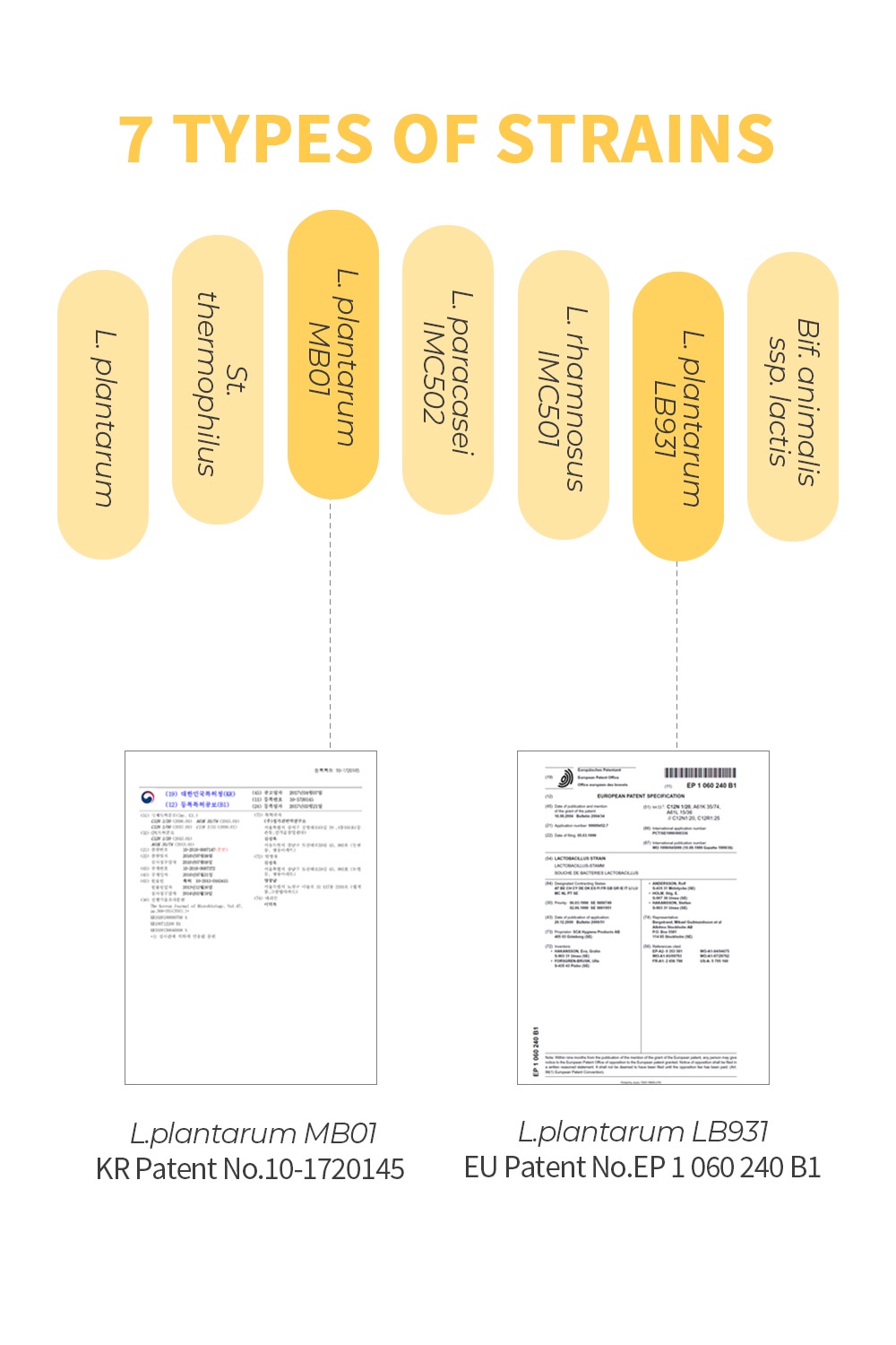 Phytotics Yellow, Probiotics + Zinc, For Women Vaginal Health And ...