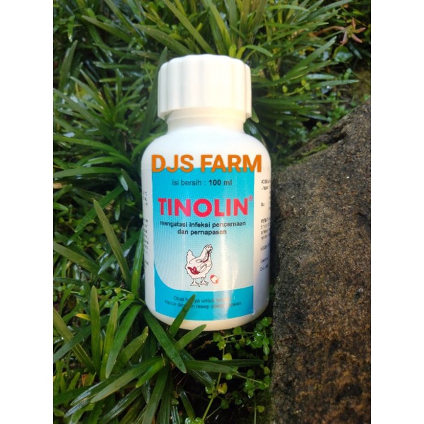 Tinolin 100 ml Medion Vitamin Medicine for Respiratory Infections ...