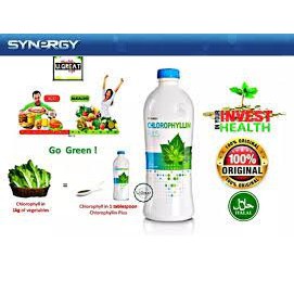 Synergy Chlorophyllin Plus / Liquid Chlorophyll 25oz (730ml) - Ready ...