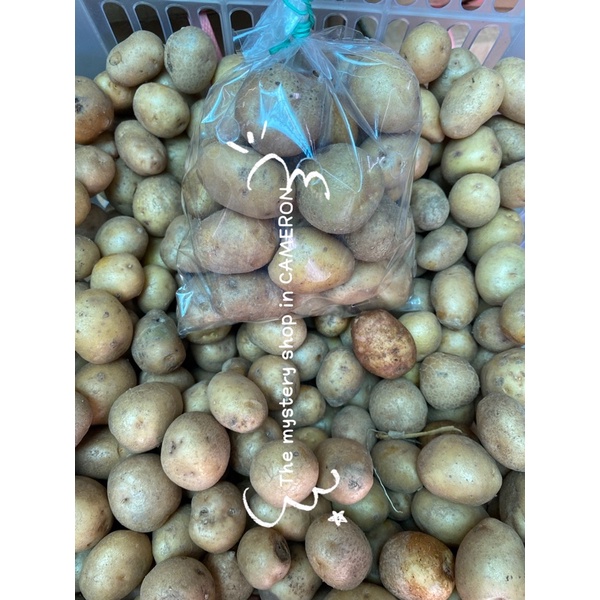 Baby potatoes/Mini potatoes/Mini Ubi Kentang Cameron Highlands [500g ...