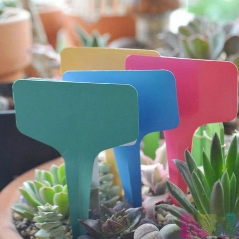 Label pokok nursery plant tag @ label penanda pokok | Shopee Malaysia