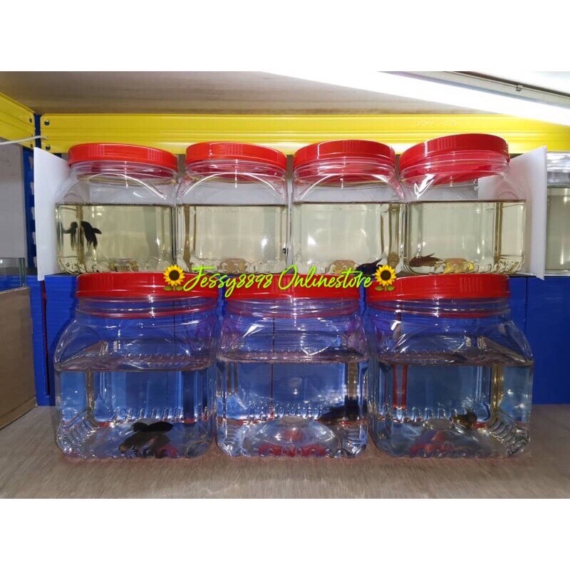 🔥Ready Stock🔥Competition SU TANK 1.5L Bekas Plastik for Betta / Guppy ...