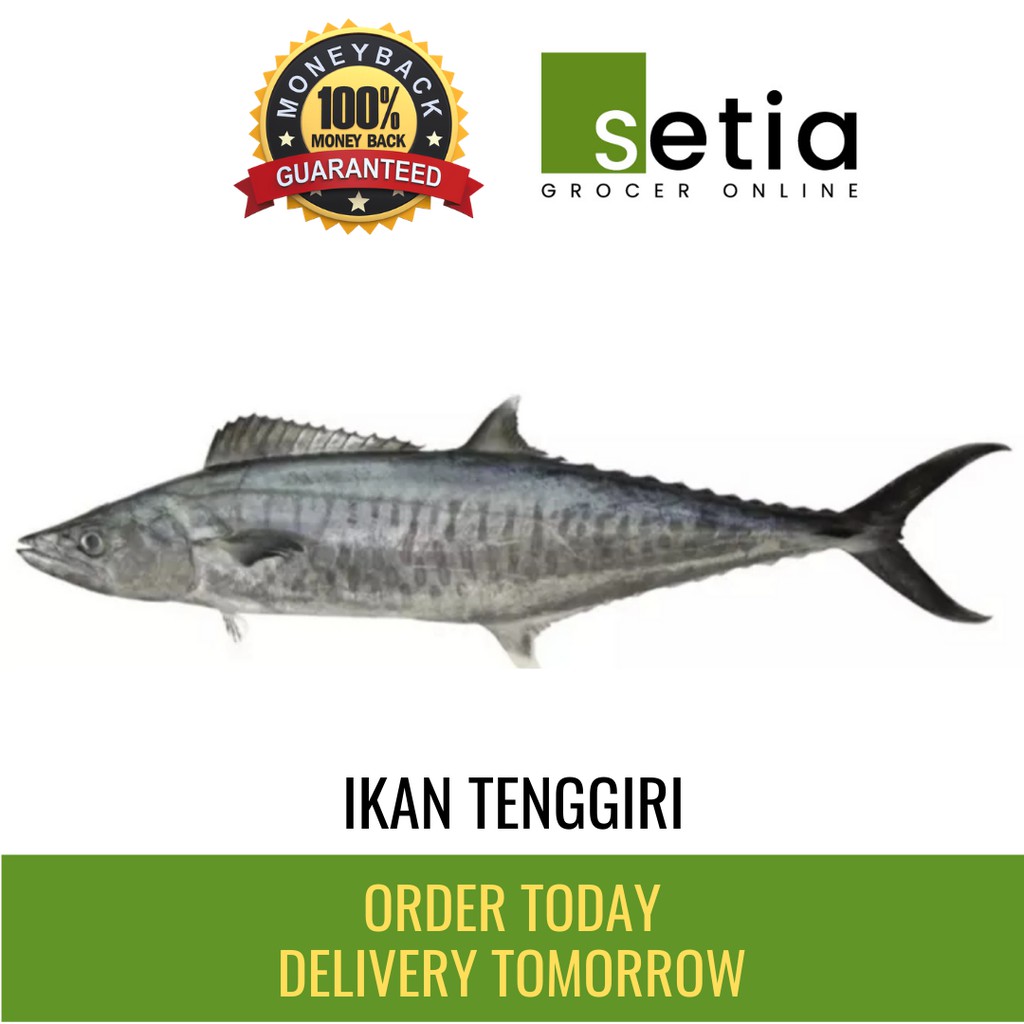 Ikan Tenggiri Fresh 500 Gram - 2 KG | Shopee Malaysia