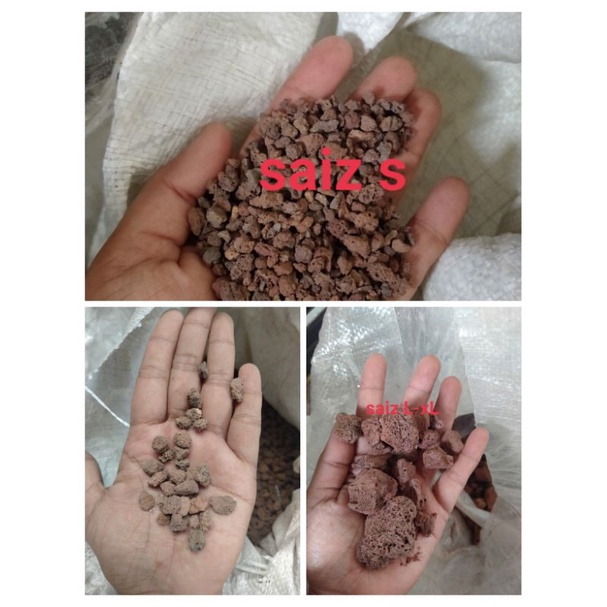 BATU LAVA ROCK (turun ph air)(s,m&l/xl) | Shopee Malaysia