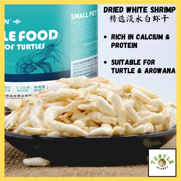 Premium white shrimp for turtles kura kura arowana fish food pet snacks ...