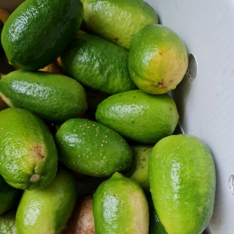 Fresh Fragrance Green Lemon 100% Organic Perfume Lemon Seedless, Fresh ...