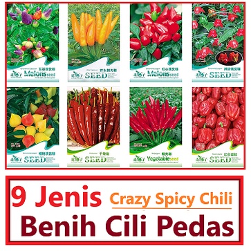 Biji Benih Cili 9 Jenis PEPPER CHILI SPECIES SEEDS 辣椒种子 PEDAS ...