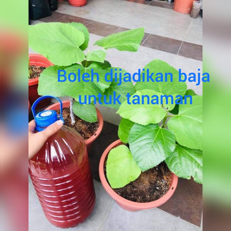 PSB Photosynthetic Bacteria, baja pokok, baja tanaman, utk jernih air ...