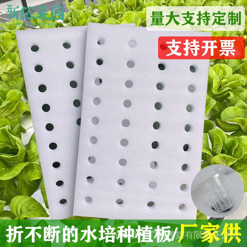 Fixed Planting Board 36-Hole Panel Fixed Planting Vegetable Planting ...