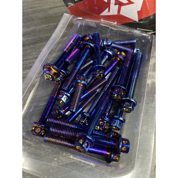 Screw Casing Clutch & Magnet Titanium - RS150, EX5 , Y15 , LC4s, Lc5s ...