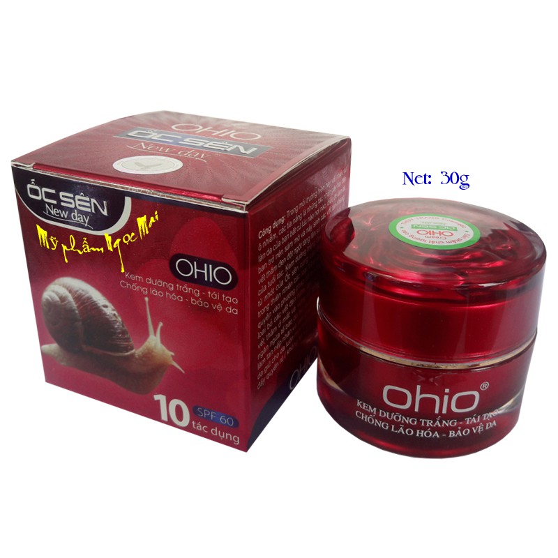 Whitening, Regenerating, Anti-Aging, Skin Protection Cream with 10 ...