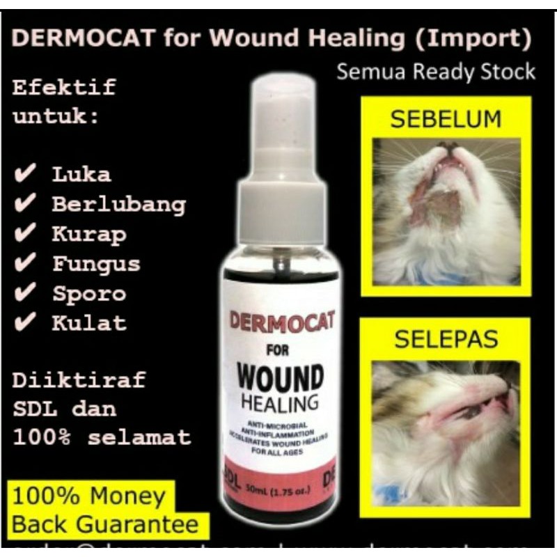 DERMOCAT Ubat Luka Kucing/Ubat Kurap Kucing (50ml) | Shopee Malaysia