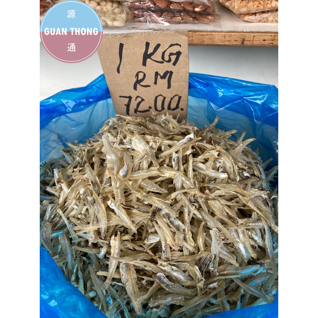 Guan Thong Ikan Bilis Kopek Silver Lining XS | Shopee Malaysia