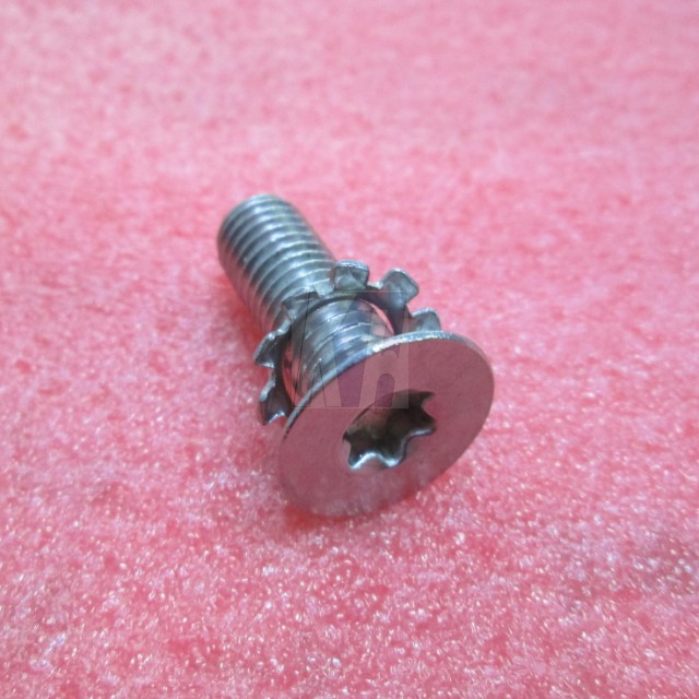 TOYOTA FRONT & REAR DOOR LOCK TORX PARALOBE STAINLESS STEEL SCREW WITH ...