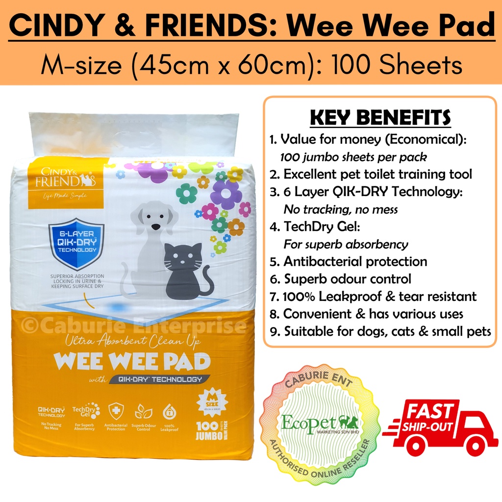 CINDY & FRIENDS: Wee Wee Pad (100 SHEETS - M-size: 45cm x 60cm - VALUE ...