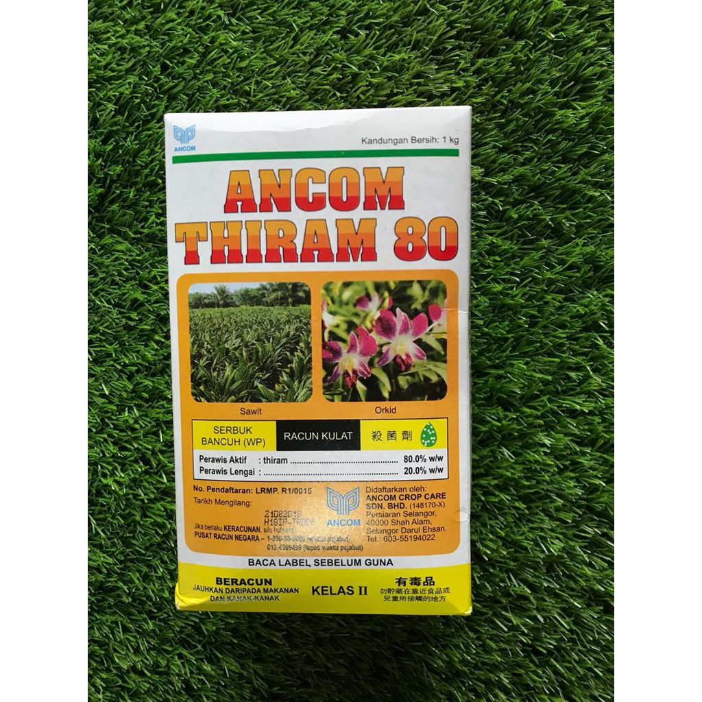 1 KG Ancom Thiram 80% Racun Kulat Fungicide | Shopee Malaysia
