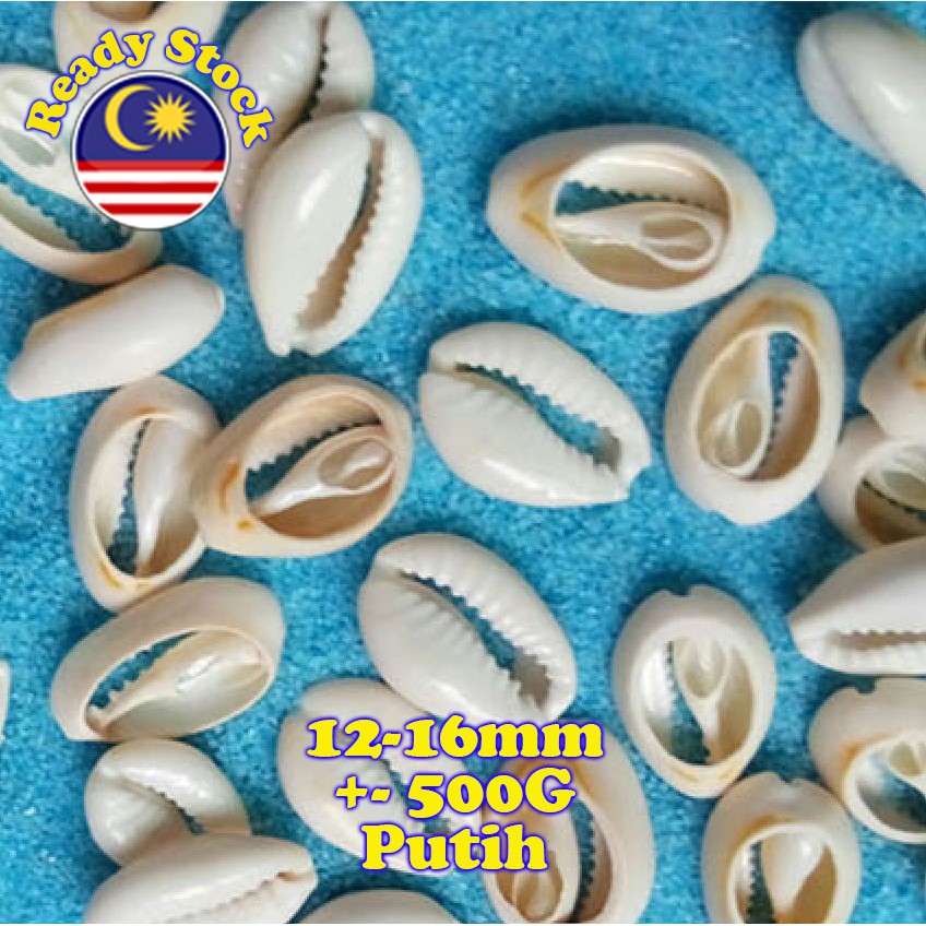 JA2327 Natural Shell Seashell Bead 500G 🇲🇾 Burie Putih DIY Jewelry ...